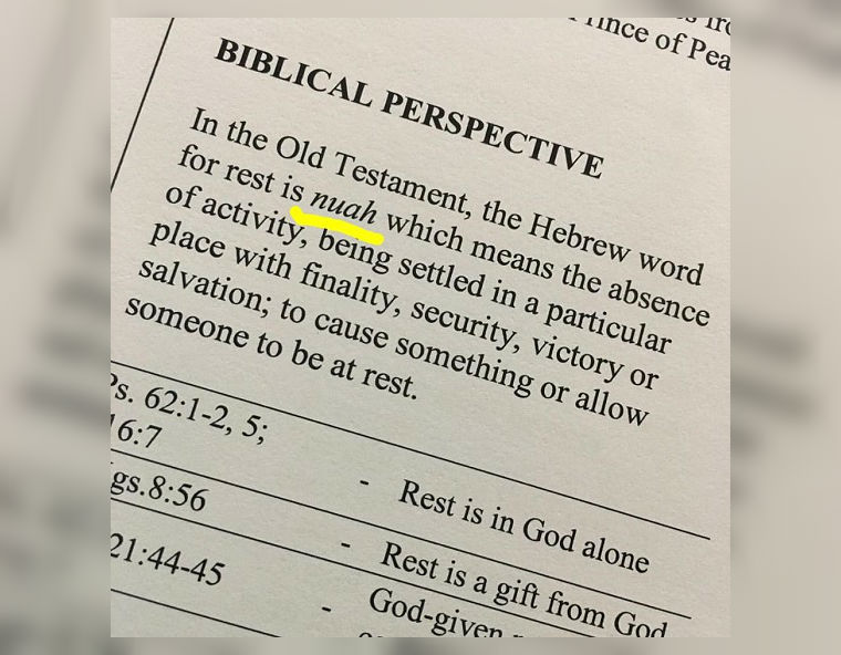 If you're feeling 'nuah' about Monday, The Bible apparently understands ...