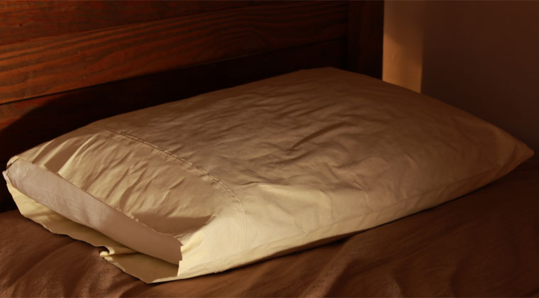Man who allegedly killed godmother in Yishun flat by pressing pillow ...