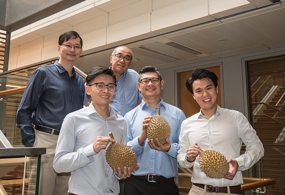 S'porean scientists discover why durians have that polarising scent ...