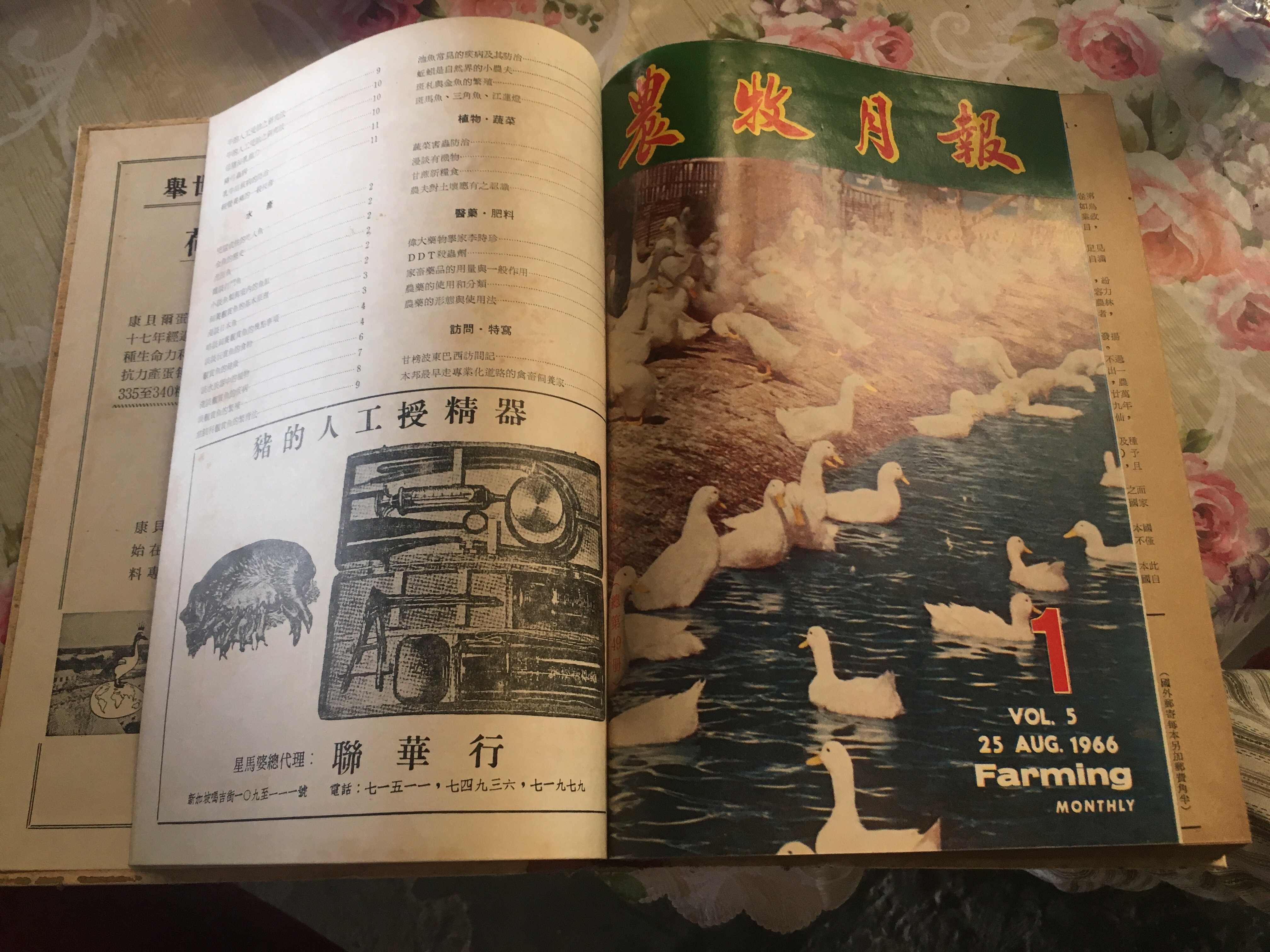 S'porean pioneer poultry farmer Ho Seng Choon passes away at 96 ...