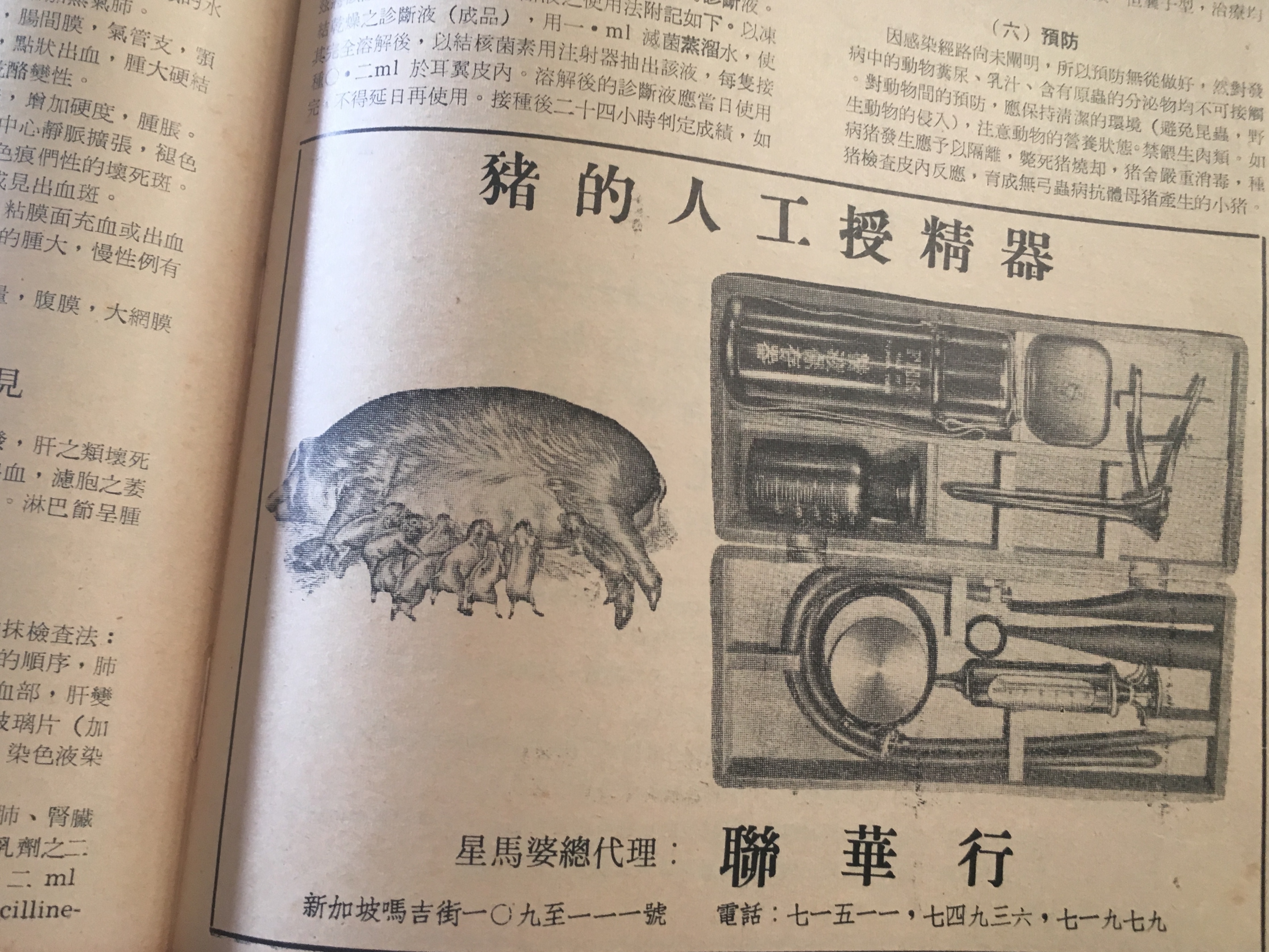 S'porean pioneer poultry farmer Ho Seng Choon passes away at 96 ...