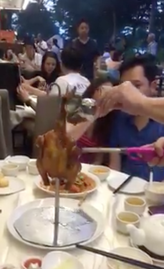 Waitresses perform 1 minute chicken dance while serving flaming chicken ...