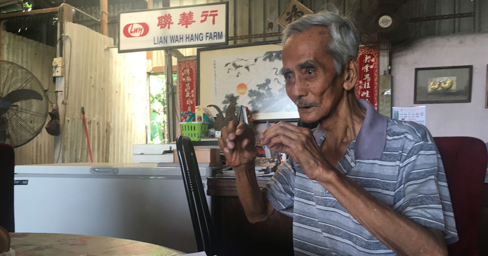 S'porean pioneer poultry farmer Ho Seng Choon passes away at 96 ...