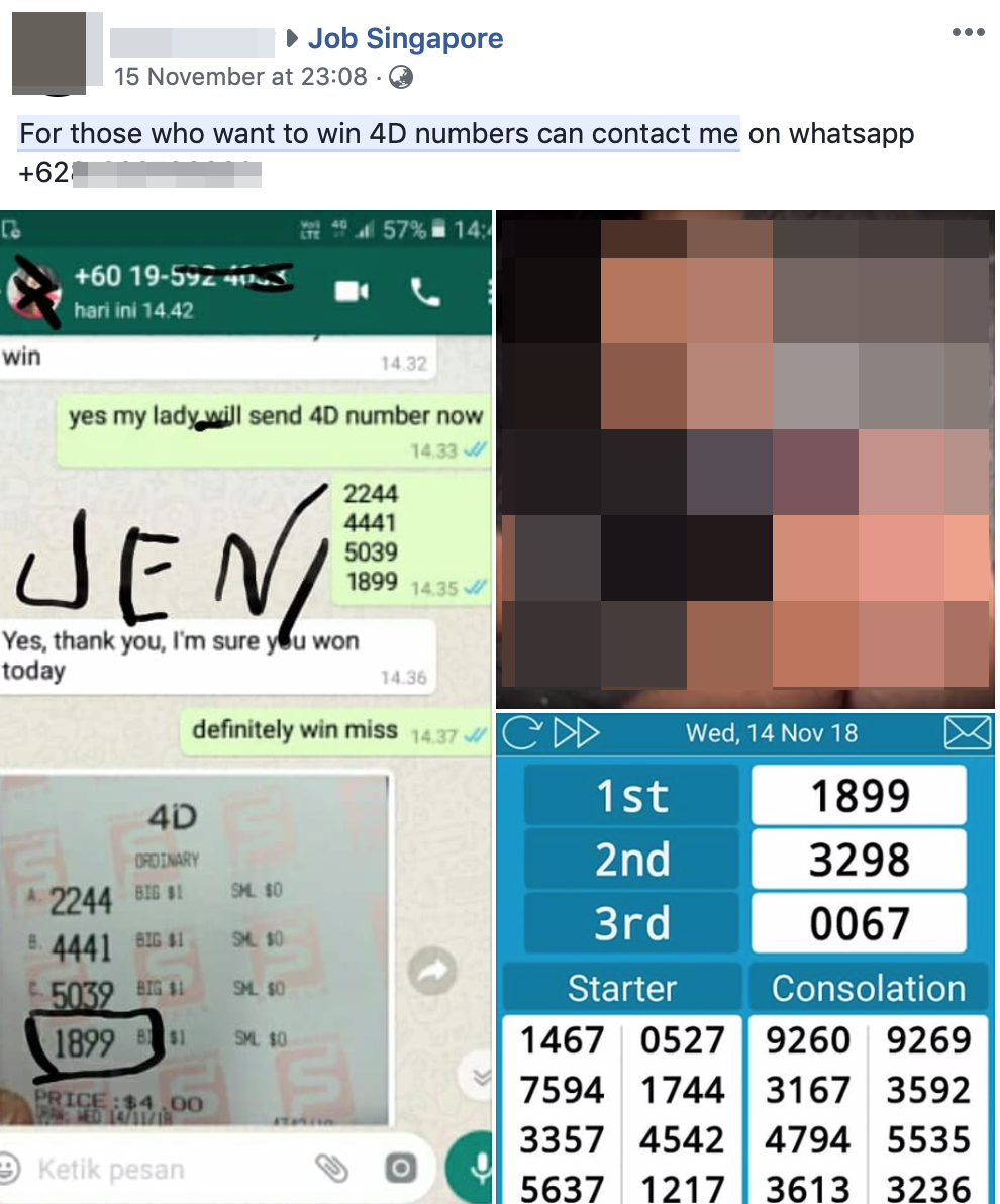 Online scammer claims to offer 4D winning numbers by performing cow ...