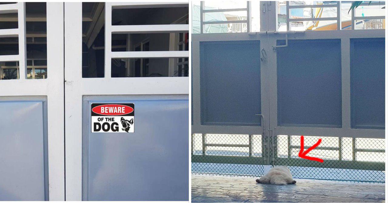 'Beware of dog' sign outside house in the Philippines warns of super ...