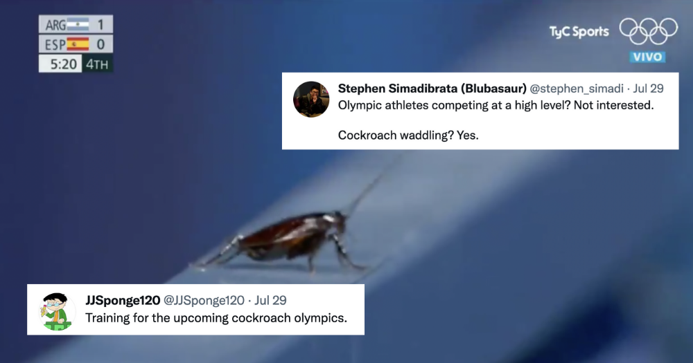 Tokyo Olympics: Cockroach gets 5 seconds of fame when cameraman zooms ...