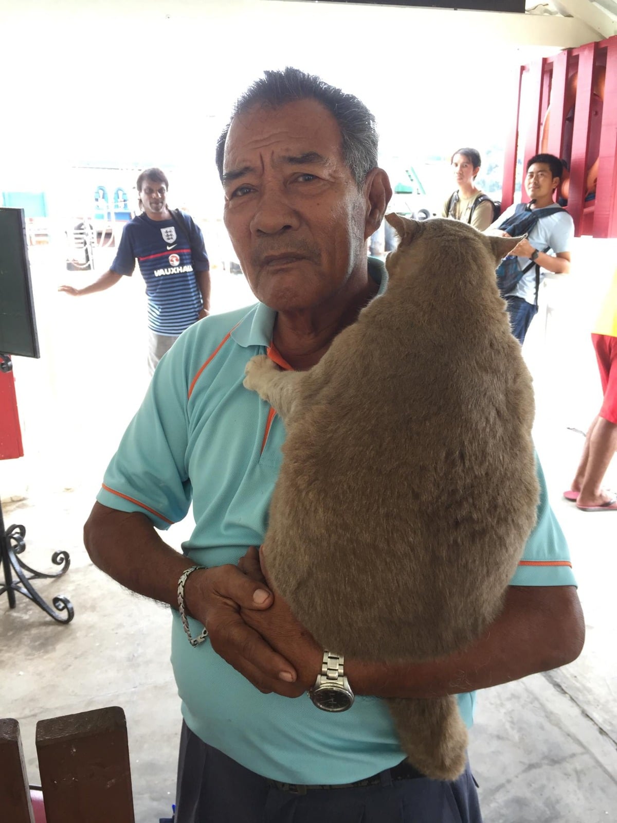 St John's Island visitors pay tribute to well-loved cat, Sandy aka Ah ...