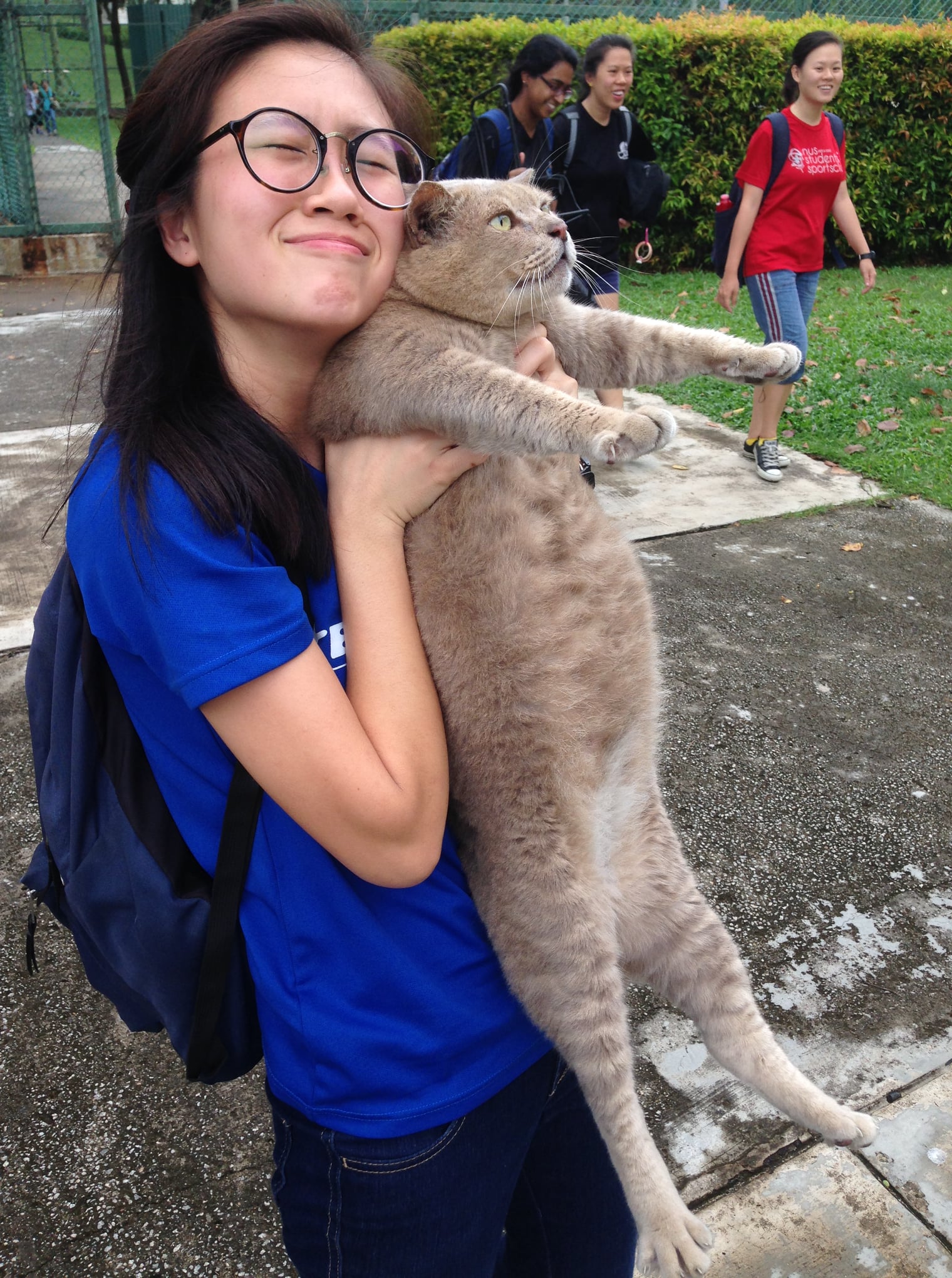 St John's Island visitors pay tribute to well-loved cat, Sandy aka Ah ...