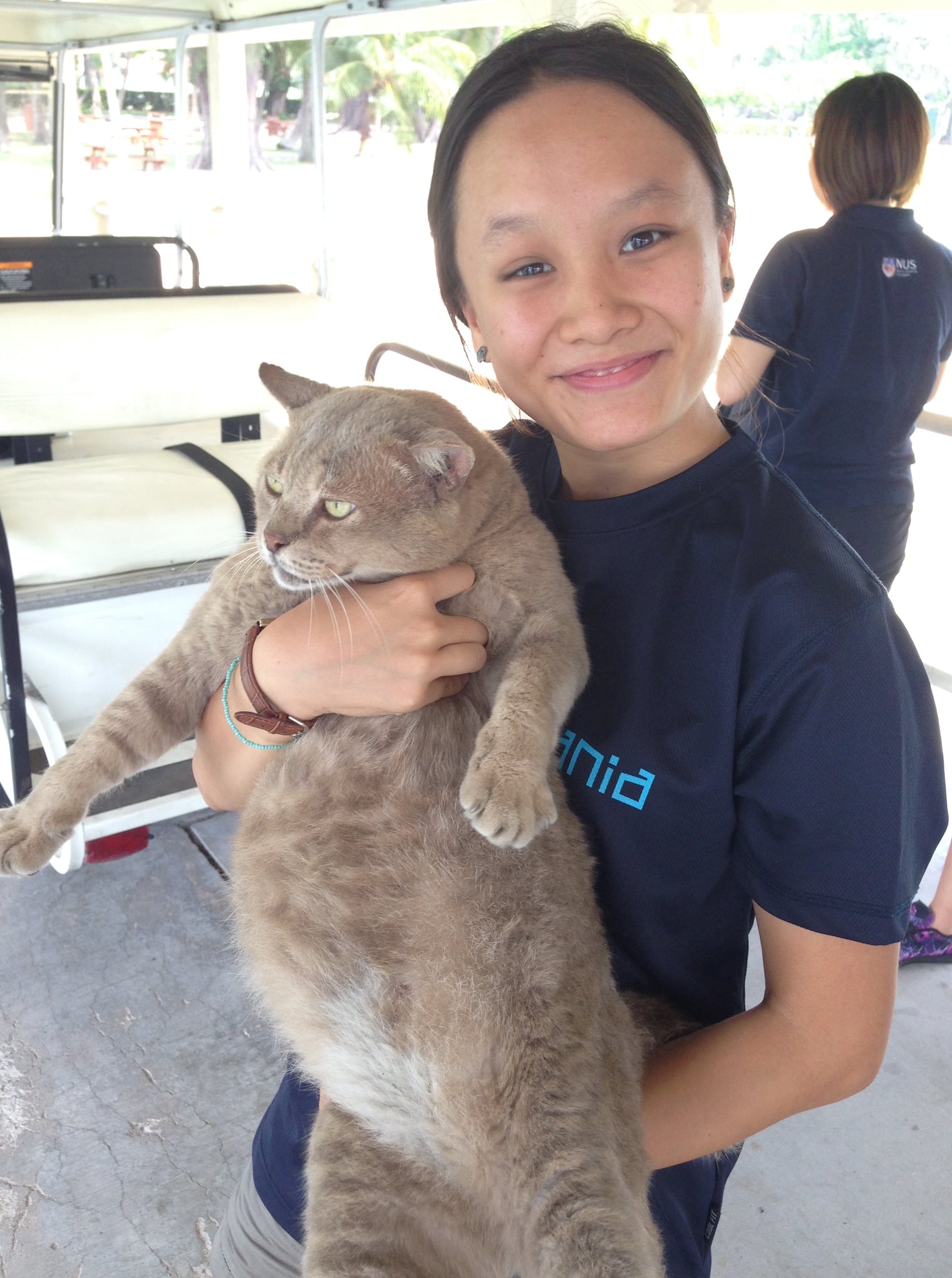 St John's Island visitors pay tribute to well-loved cat, Sandy aka Ah ...
