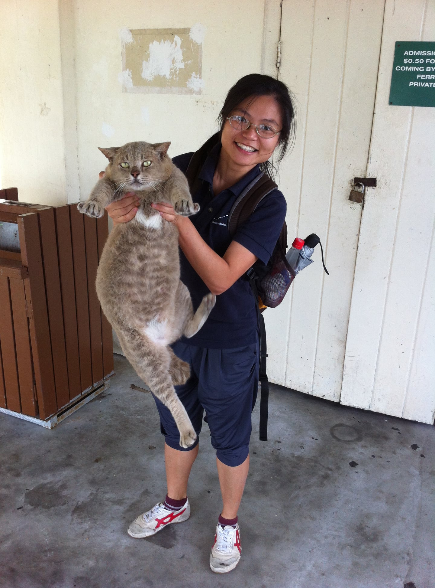 St John's Island visitors pay tribute to well-loved cat, Sandy aka Ah ...