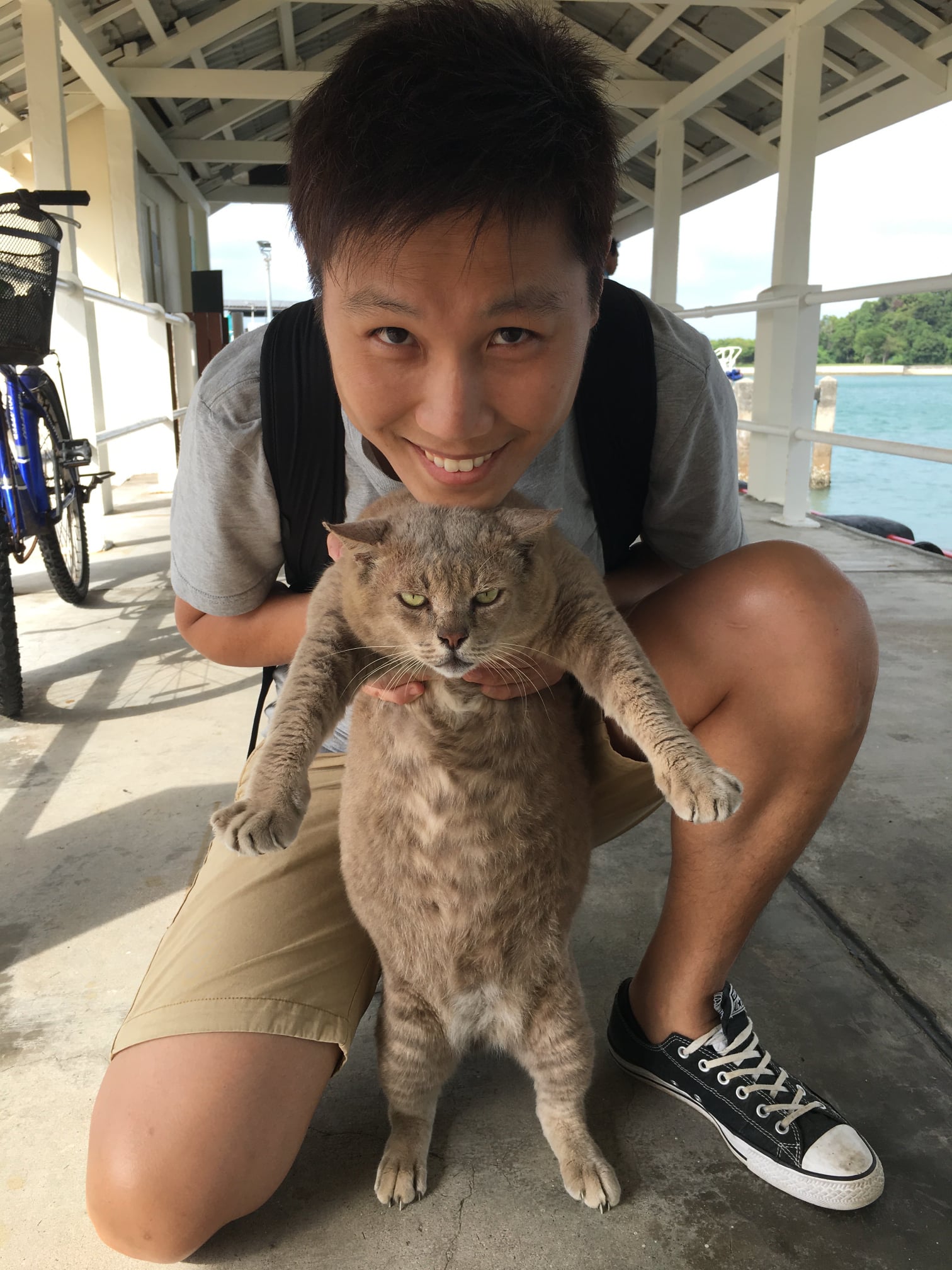 St John's Island visitors pay tribute to well-loved cat, Sandy aka Ah ...