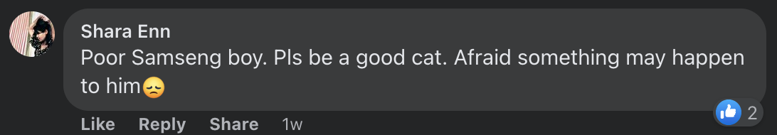 Cat named 'Samseng' gets called out for defecating along corridors ...