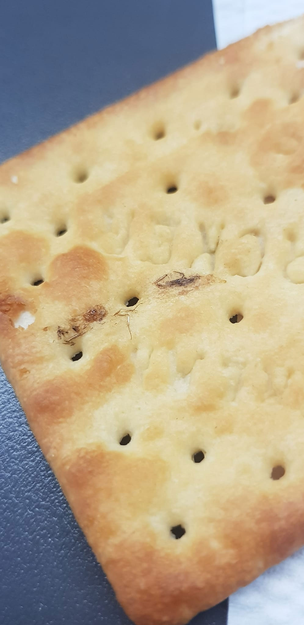 S'pore man finds bits of what look like cockroach in his biscuit bought ...