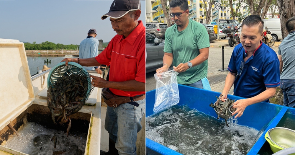 FairPrice selling live XL tiger prawns for S$19.90/kg at Bedok ...