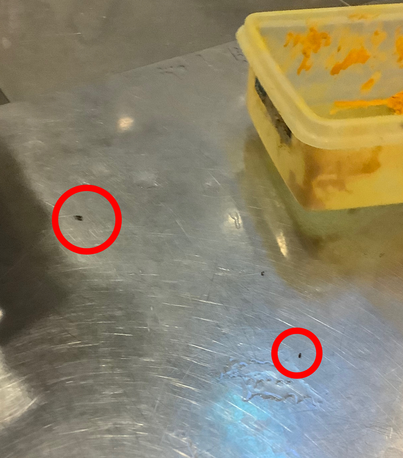 Rasel Catering fined S$4,800 after cockroaches found on premises ...