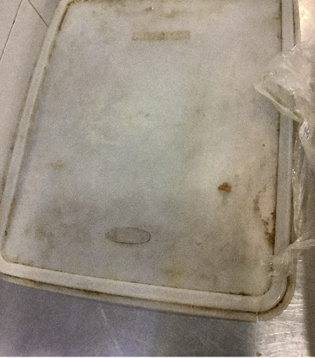 Rasel Catering fined S$4,800 after cockroaches found on premises ...