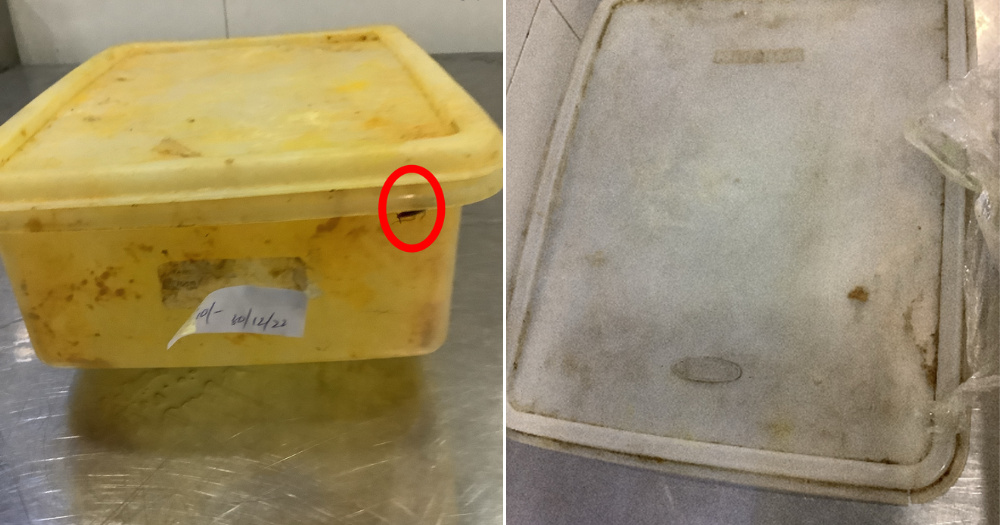 Rasel Catering fined S$4,800 after cockroaches found on premises ...