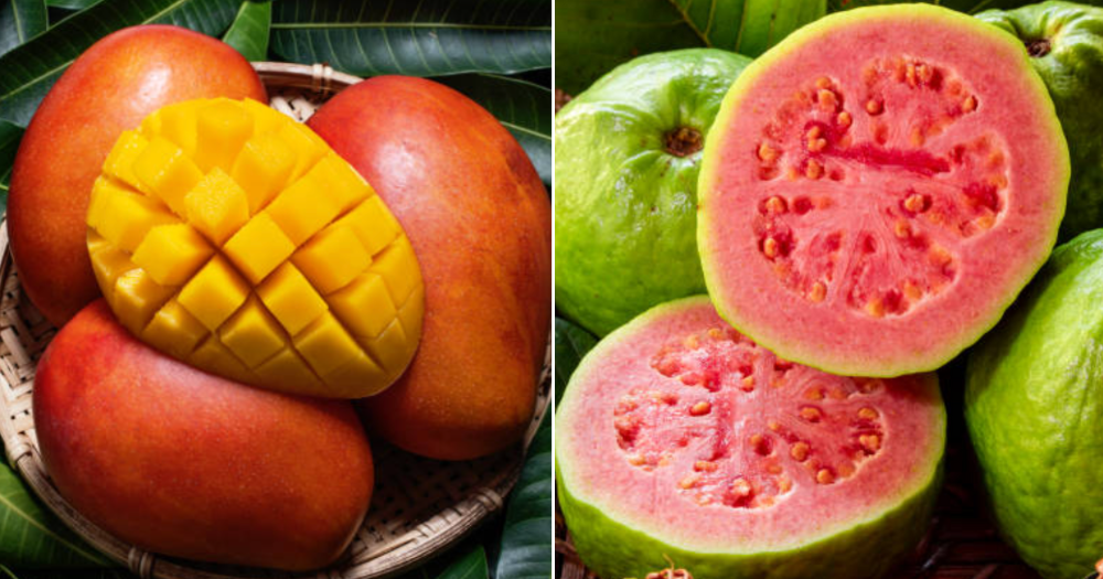 Free tasting of Kaohsiung pink guava, mango & more at 10 Sheng Siong ...