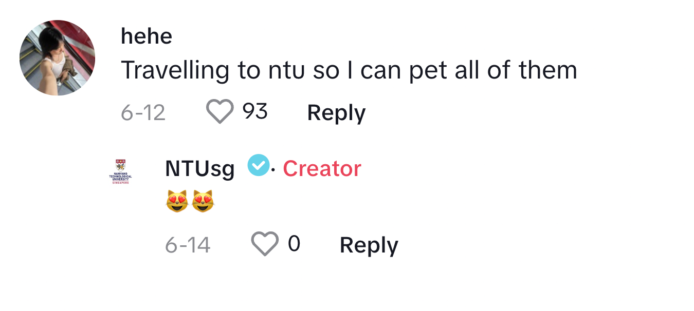 NTU features its 12 campus cats on TikTok, instantly gains popularity ...