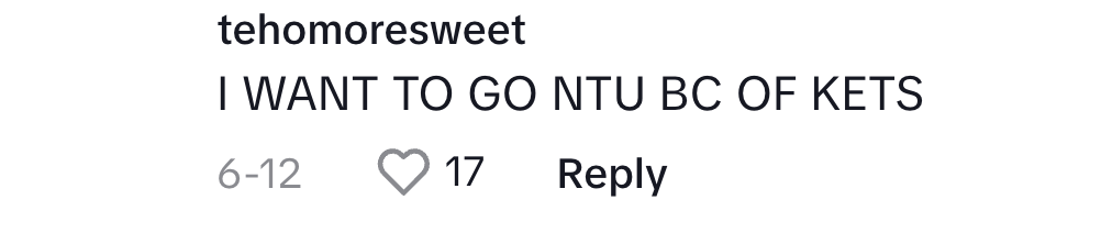 NTU features its 12 campus cats on TikTok, instantly gains popularity ...