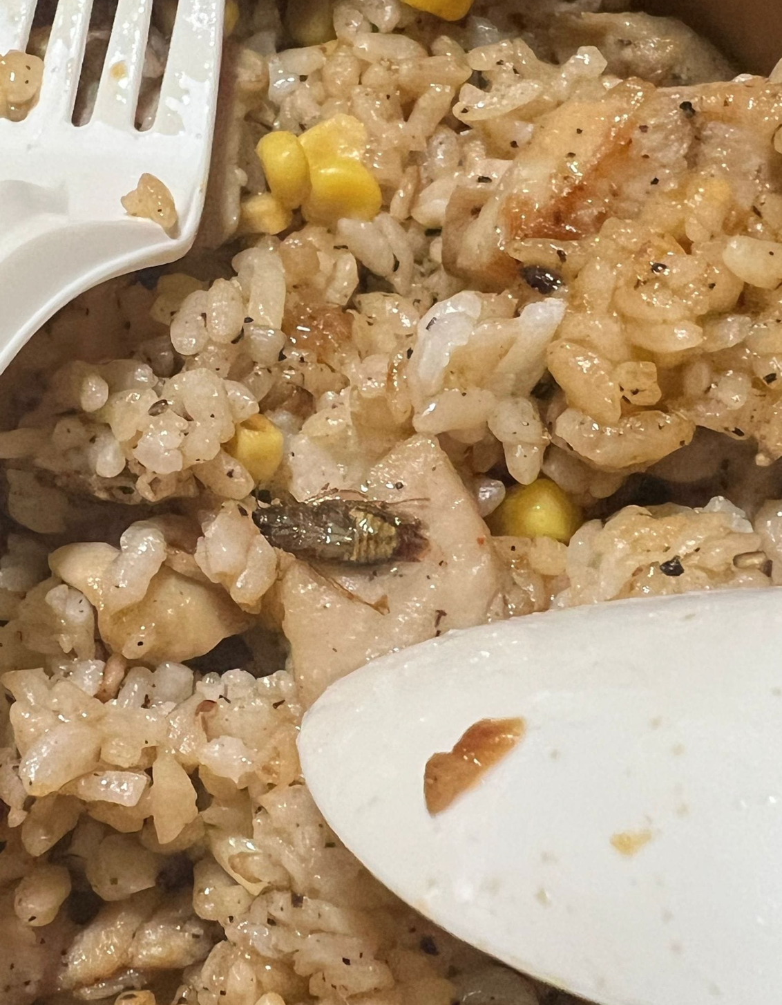 Man finds cockroach in Pepper Lunch rice bowl delivered from Compass ...