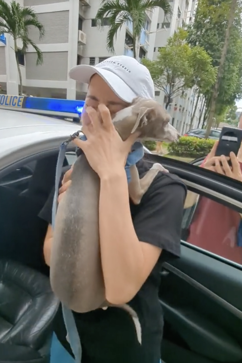 Pet dog lost for 48 hours: S'pore police returns dog found running on ...