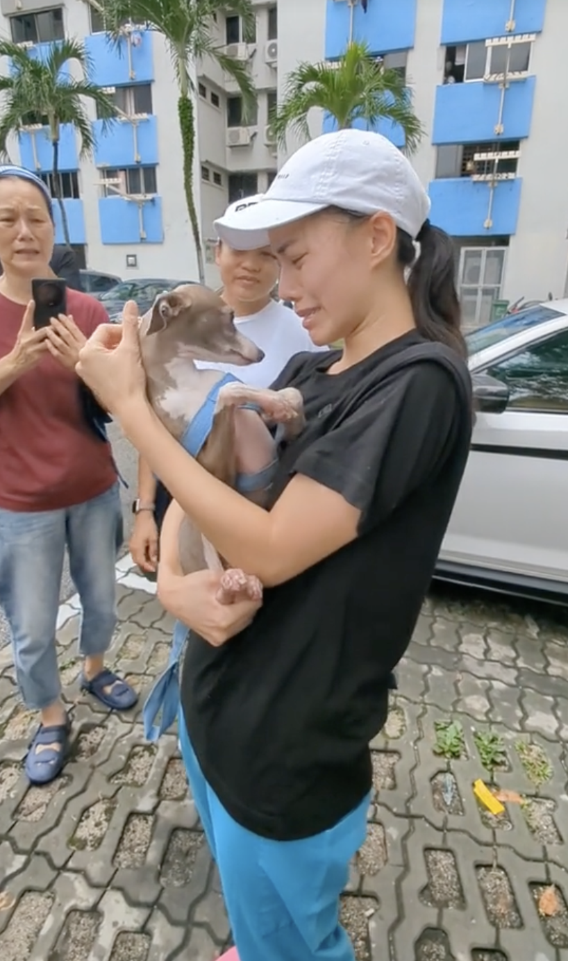 Pet dog lost for 48 hours: S'pore police returns dog found running on ...