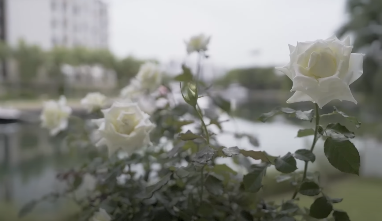 S'porean socialite Jamie Chua reveals Sentosa Cove home via house tour ...