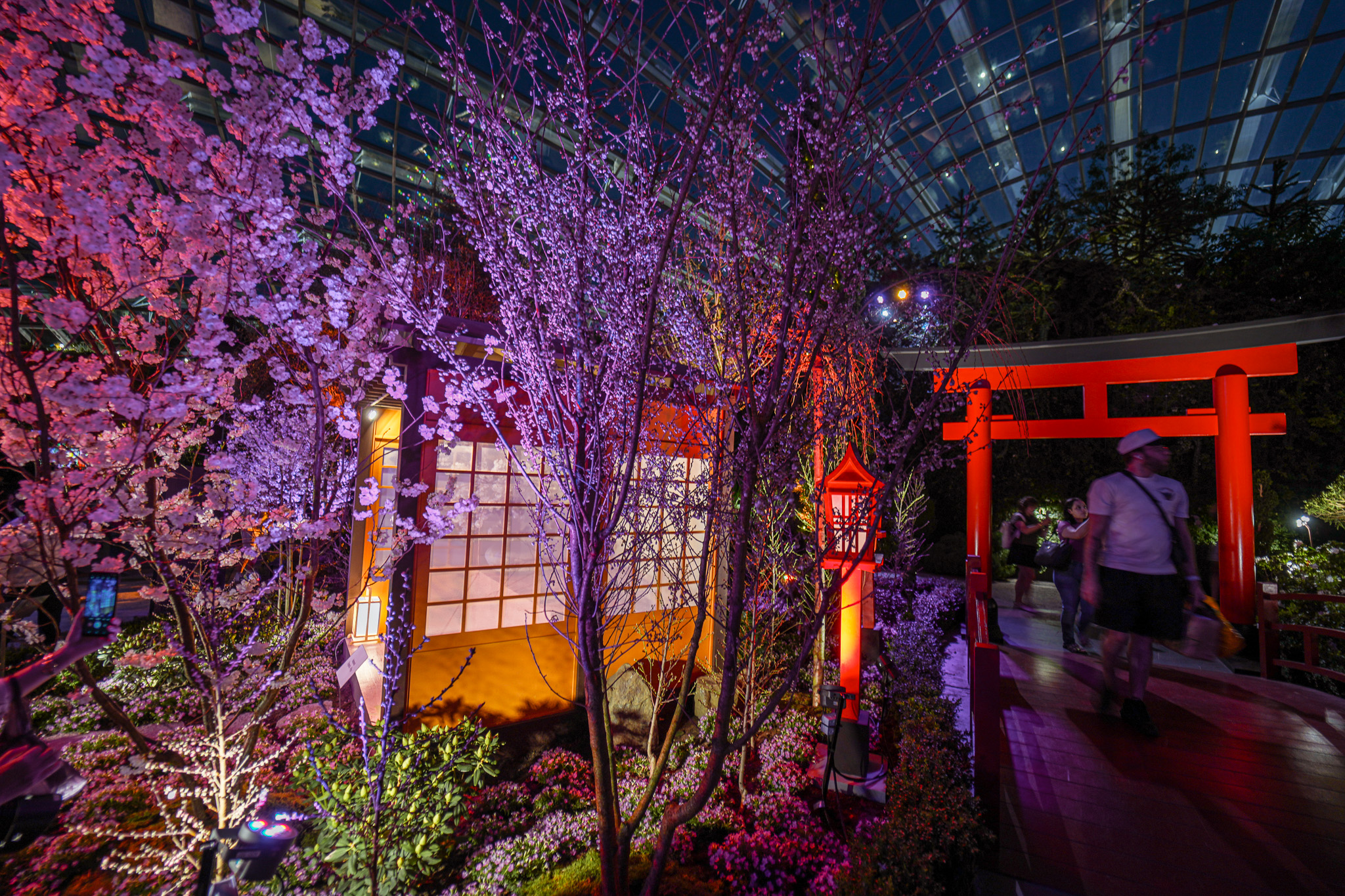 Sakura display returns to Gardens by the Bay till Apr. 21 - Mothership ...