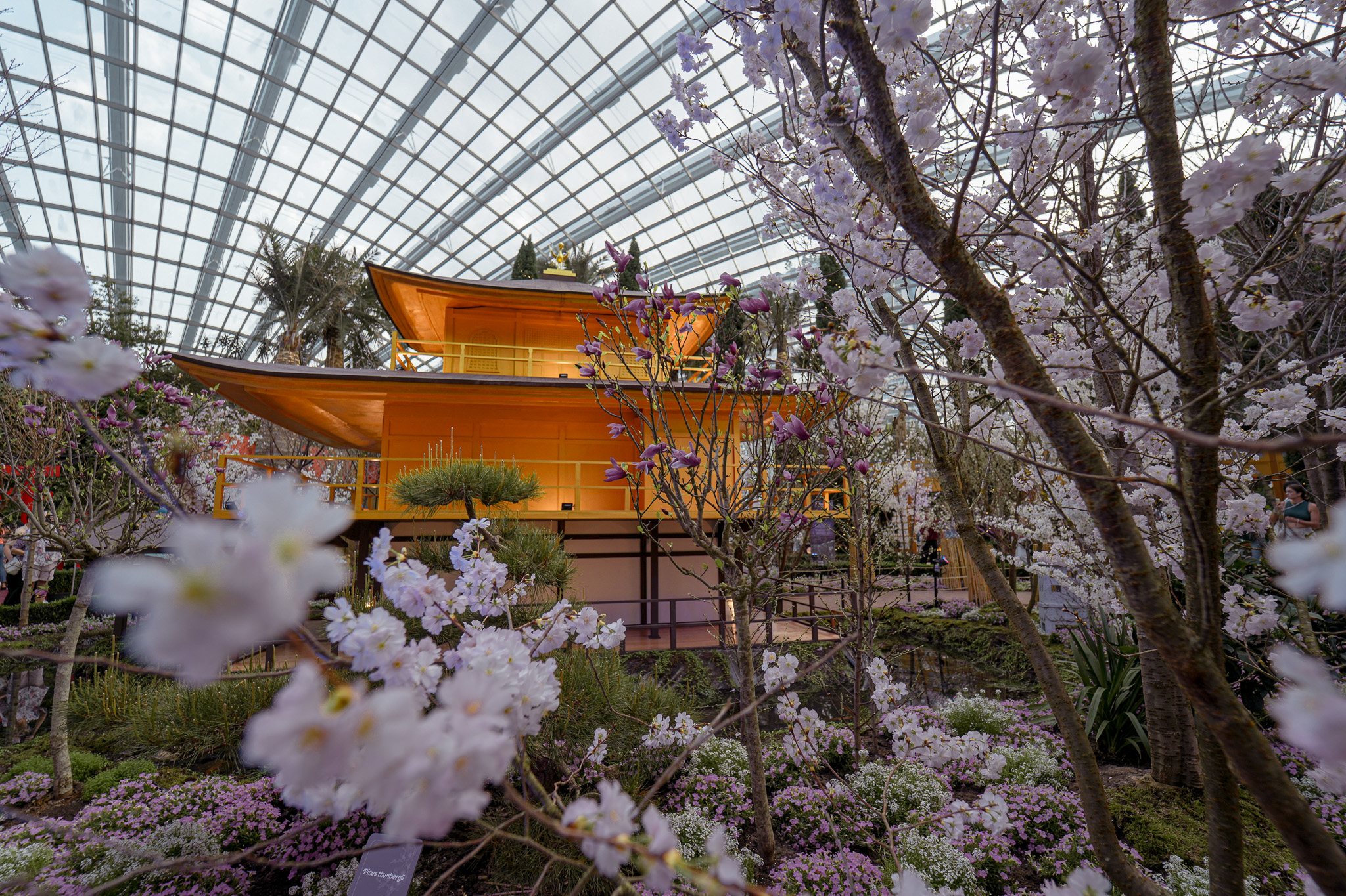 Sakura display returns to Gardens by the Bay till Apr. 21 - Mothership ...