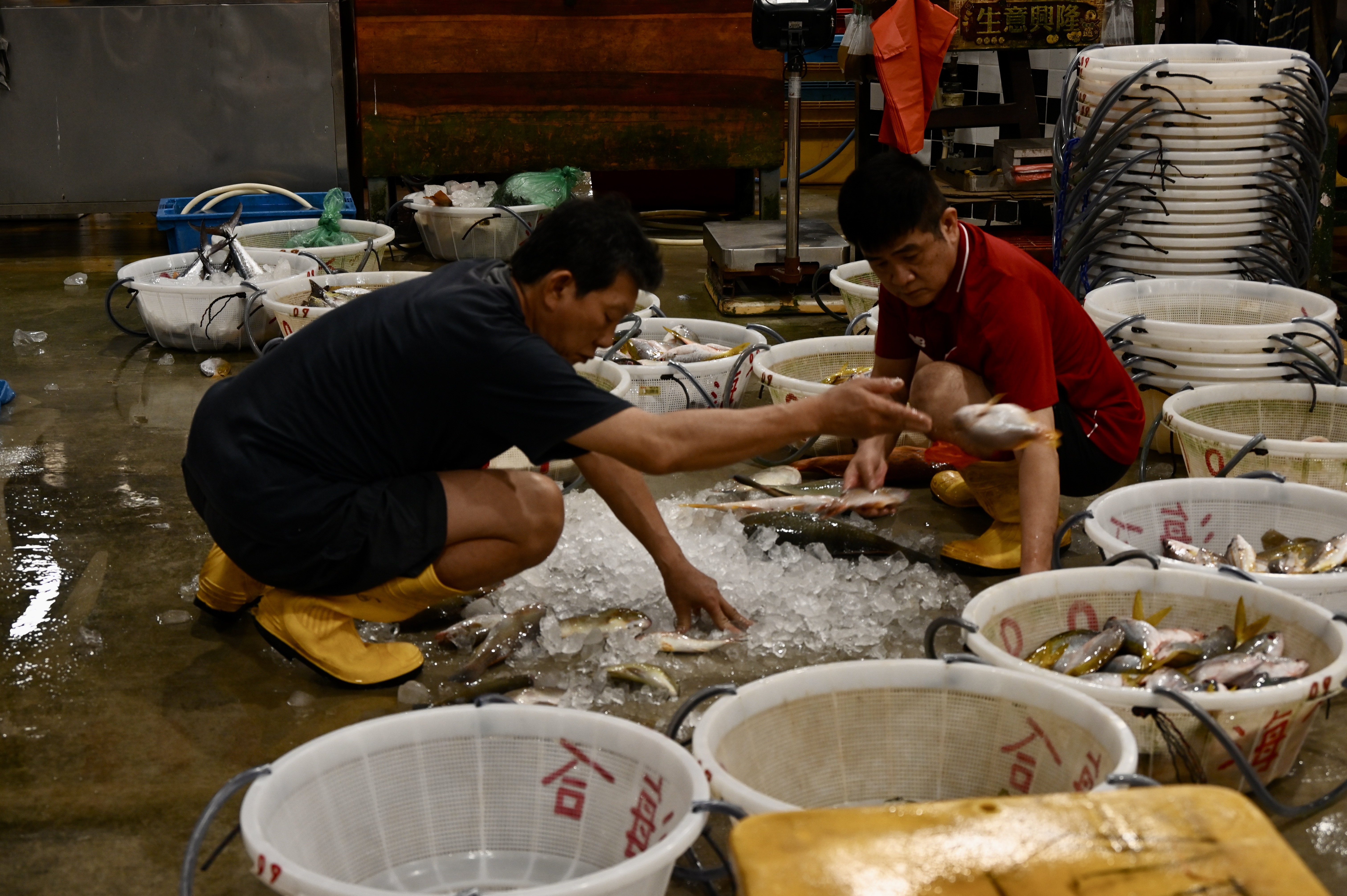 More competition but better business for fish merchants after move from ...