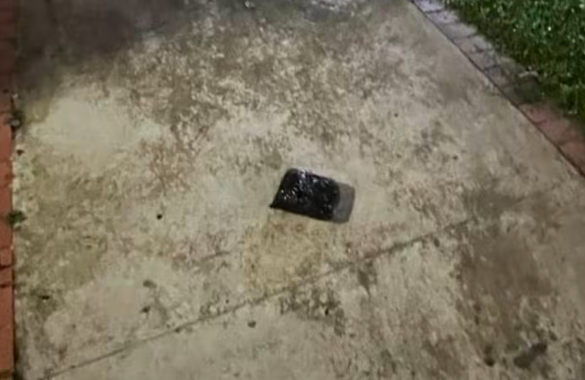 S'pore teen, 19, charged towards CNB officer with knife during bedroom ...