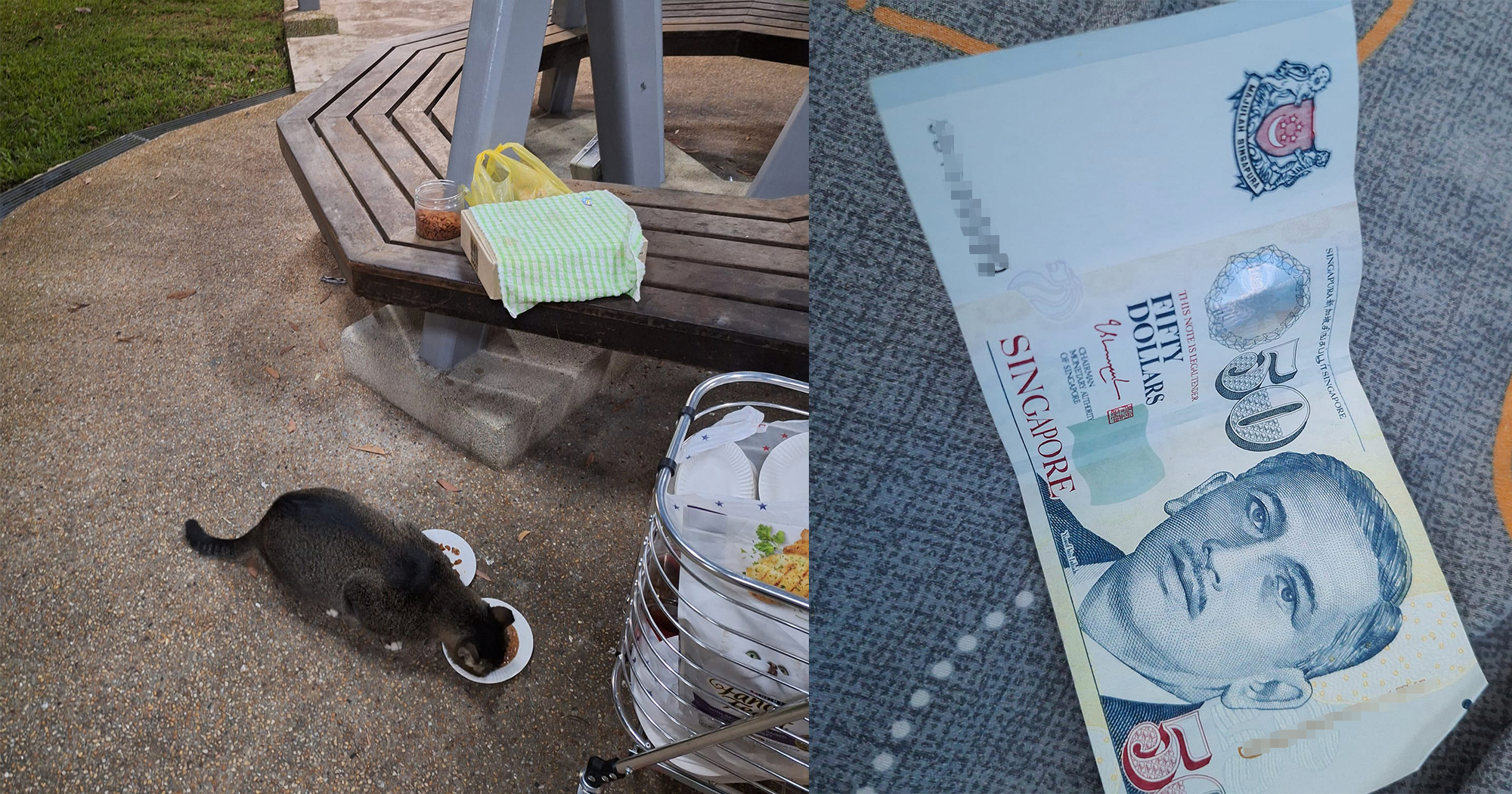 Boon Lay cat feeder, 63, given S$50 cash by Good Samaritan passing by ...