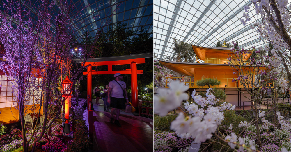 Sakura display returns to Gardens by the Bay till Apr. 21 - Mothership ...