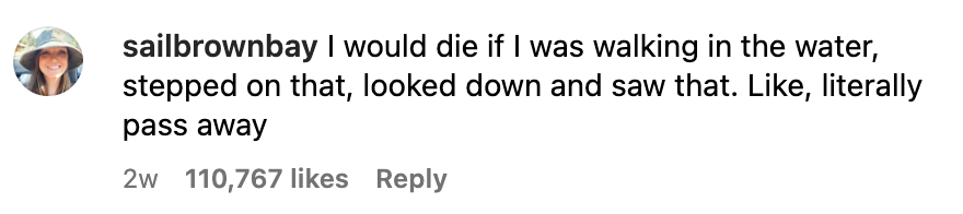 Very rare fish with face poking out of sand seen in S'pore waters ...