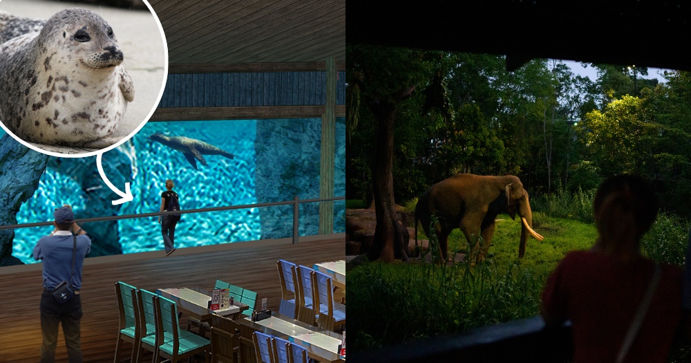 New Pangolin Trail & underwater-viewing habitat with F&B area to be ...