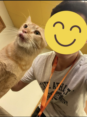 Community cat found 'badly injured' at NUS, student organisation ...