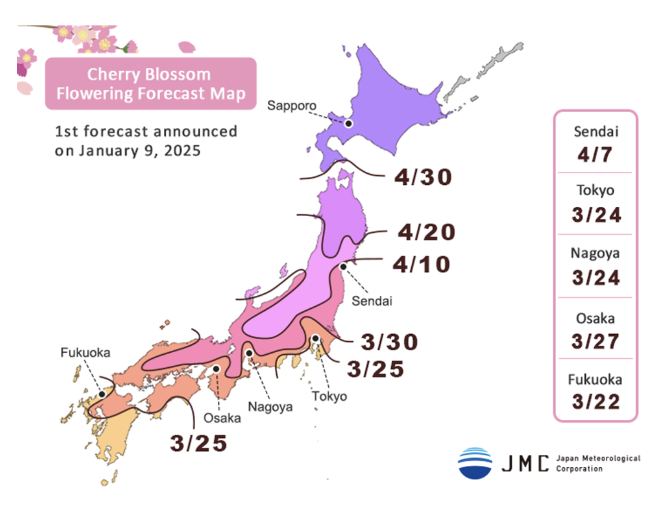 Sakura season in Japan forecast to begin in March 2025 - Mothership.SG ...