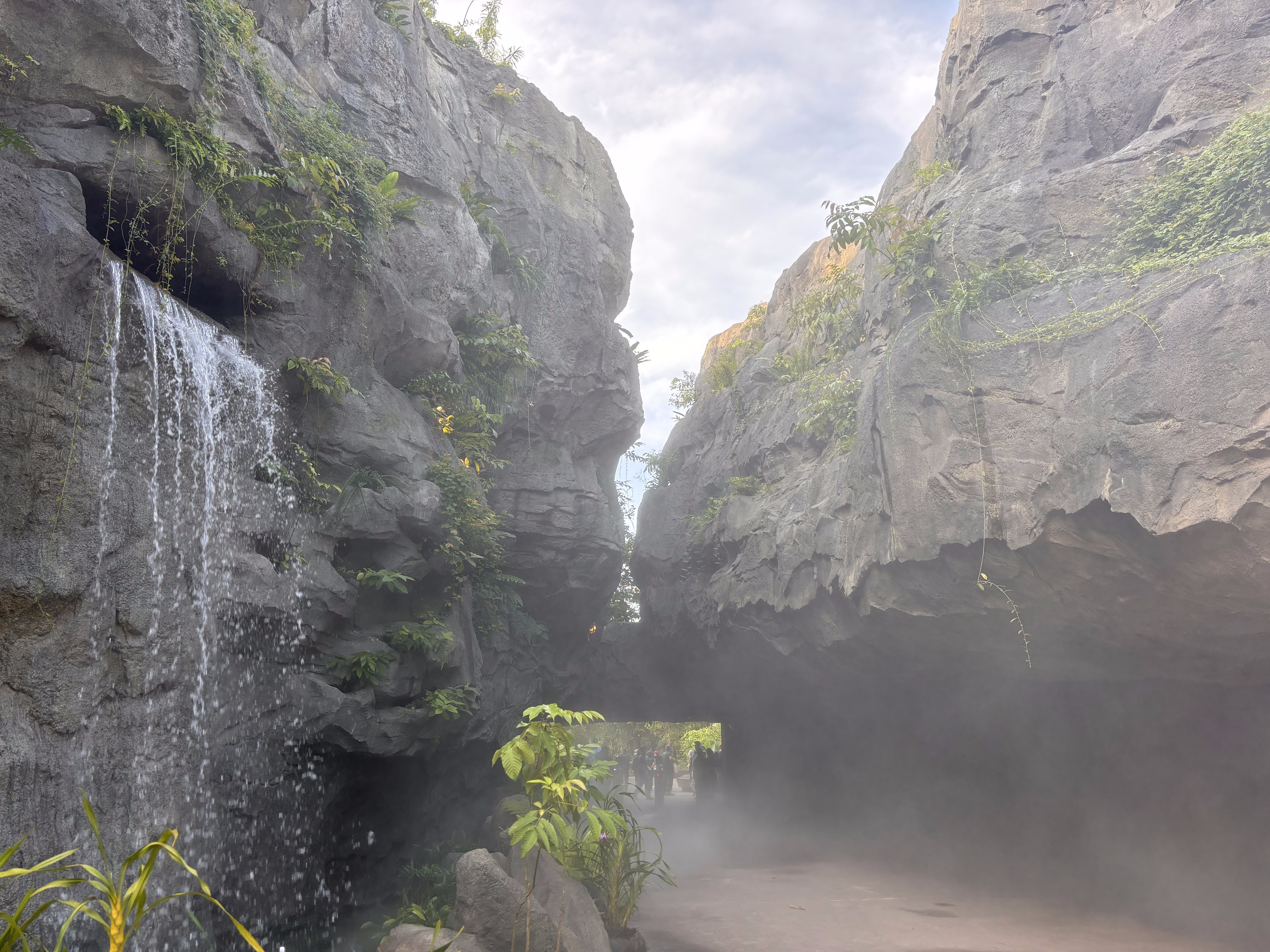 First look: New Rainforest Wild Asia has forest trails, stream ...