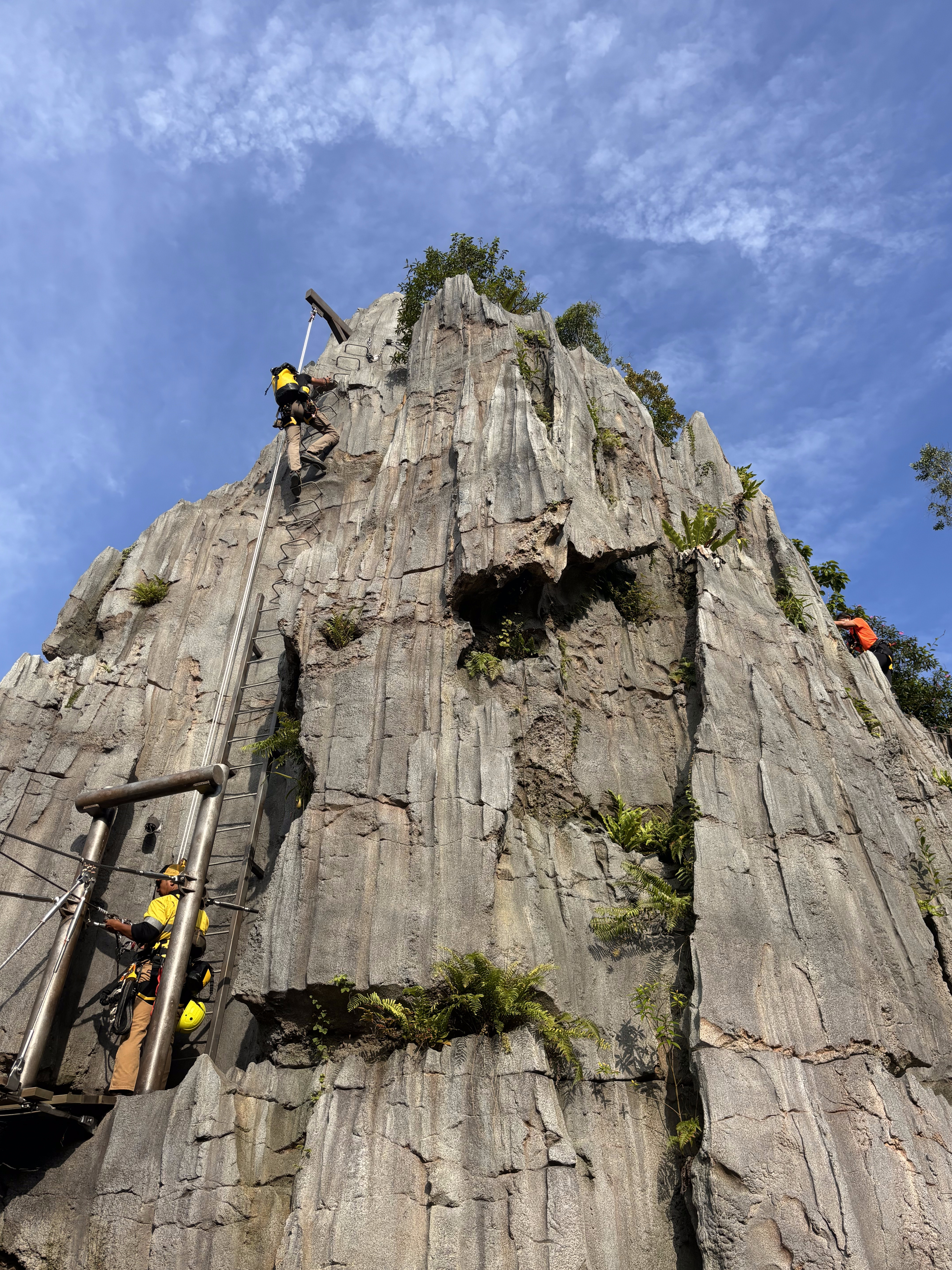 First look: New Rainforest Wild Asia has forest trails, stream ...