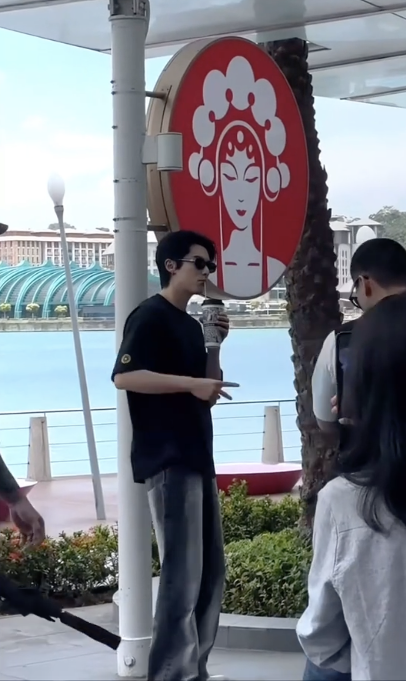 Chinese actor Dylan Wang spotted at VivoCity before attending Yuewen ...