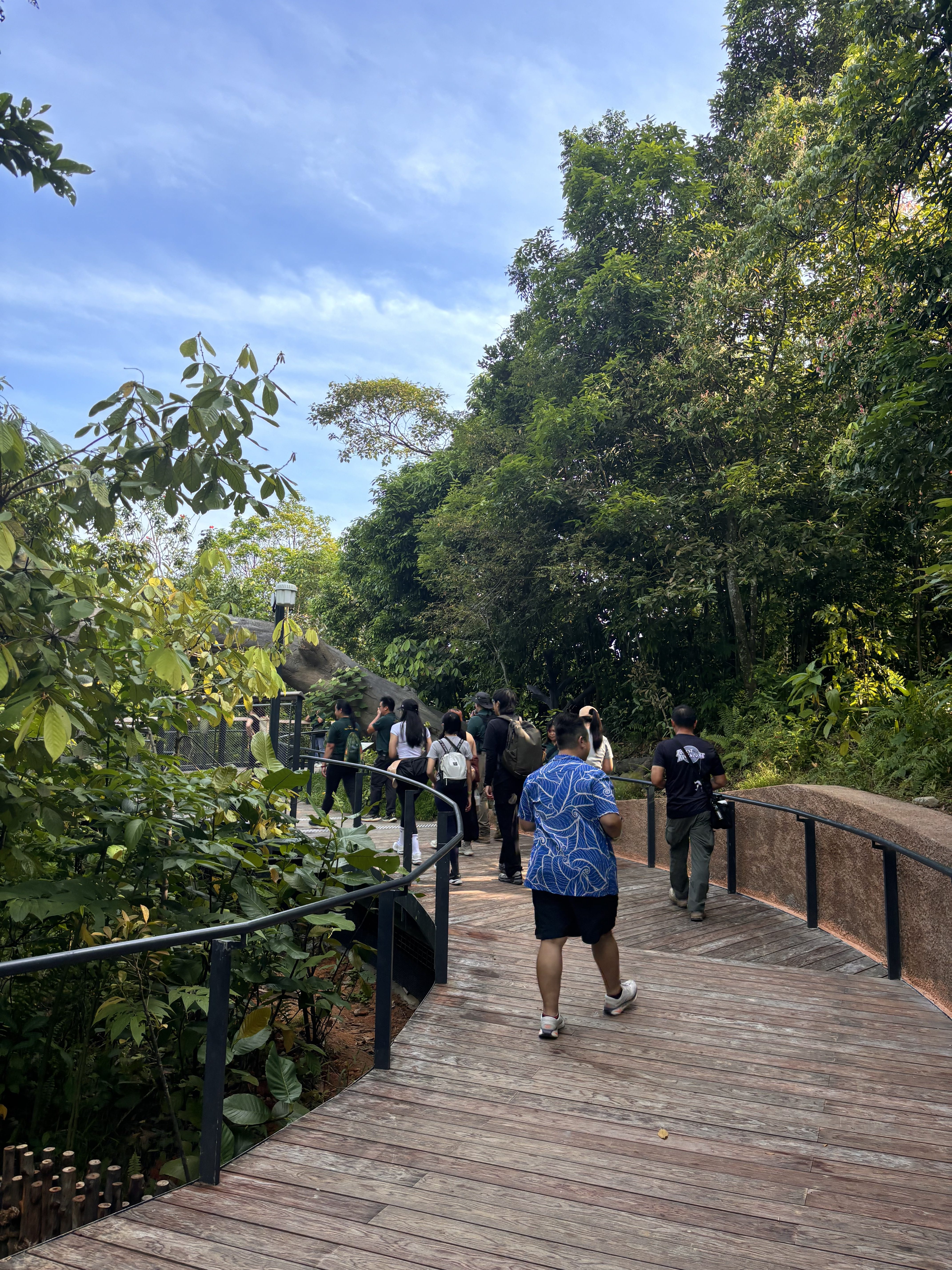 First look: New Rainforest Wild Asia has forest trails, stream ...