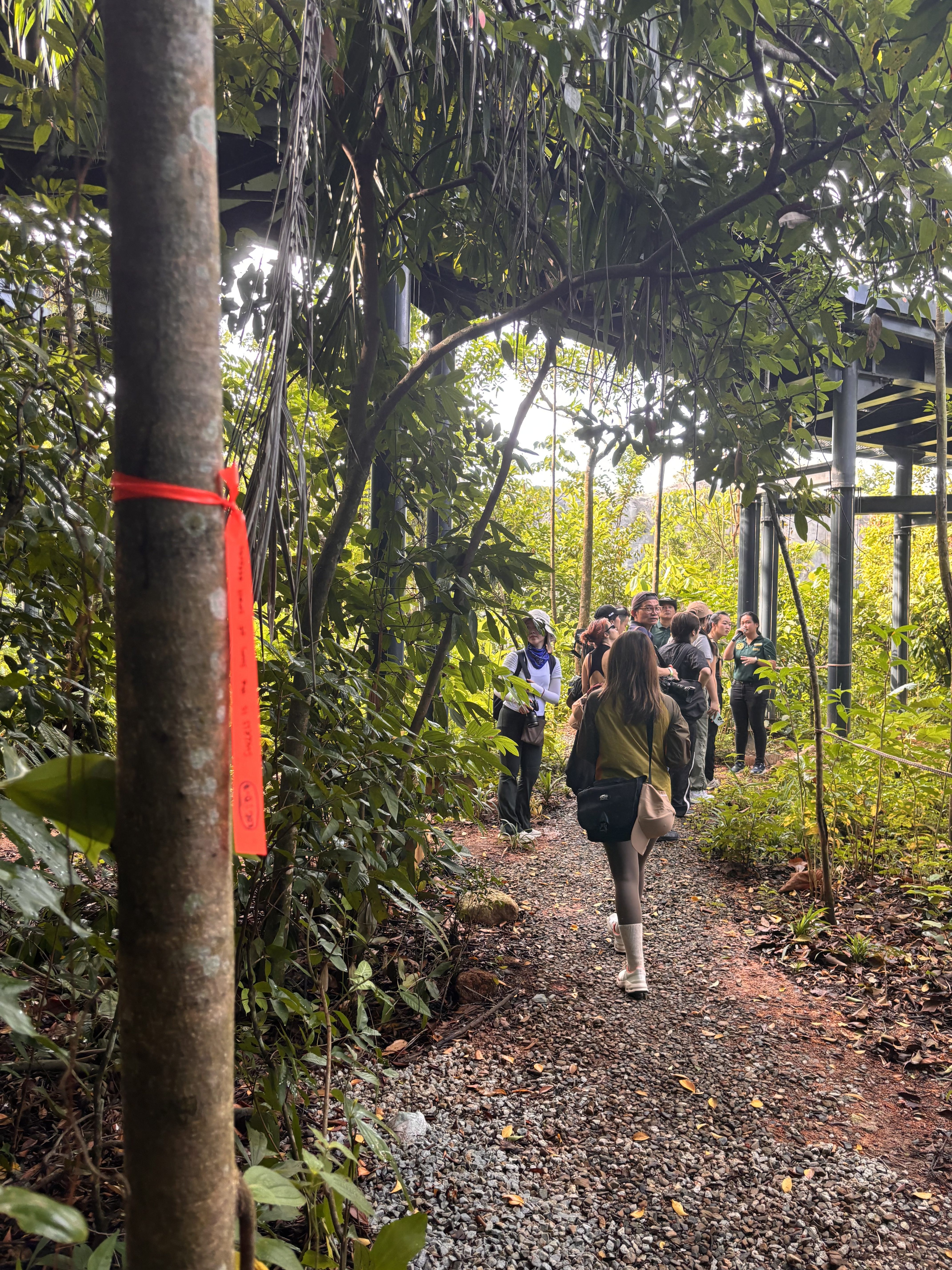First look: New Rainforest Wild Asia has forest trails, stream ...