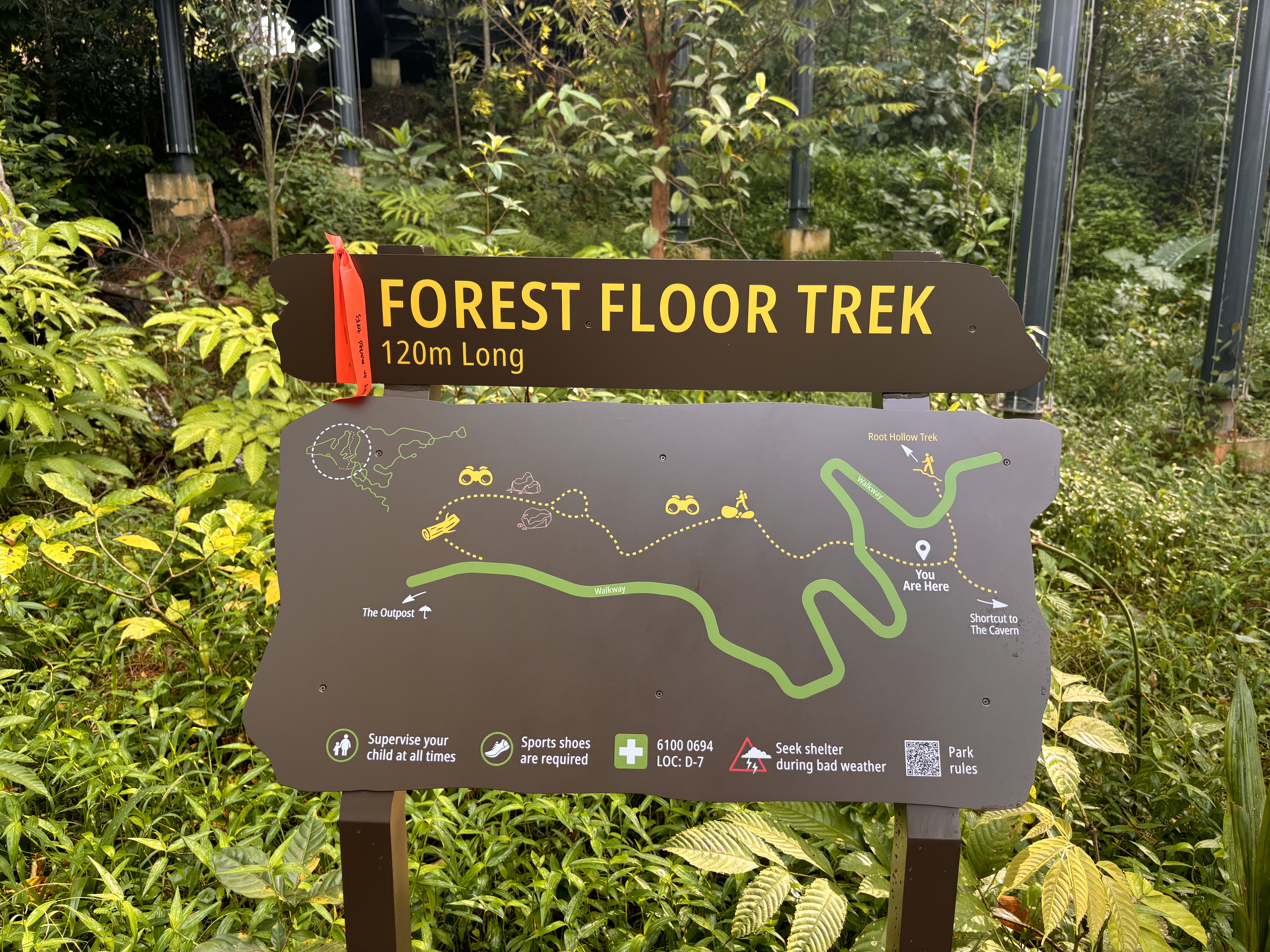 First look: New Rainforest Wild Asia has forest trails, stream ...