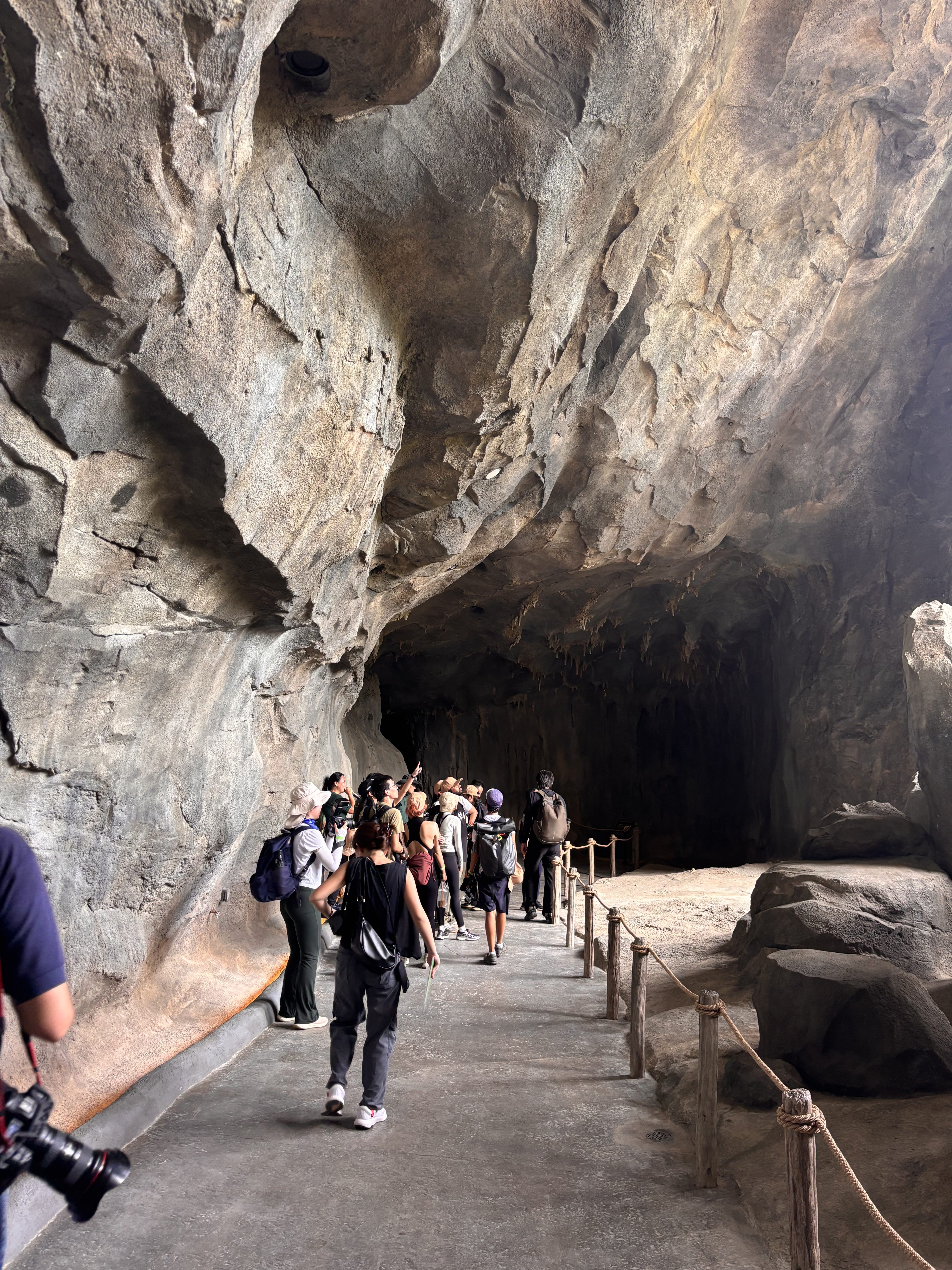 First look: New Rainforest Wild Asia has forest trails, stream ...