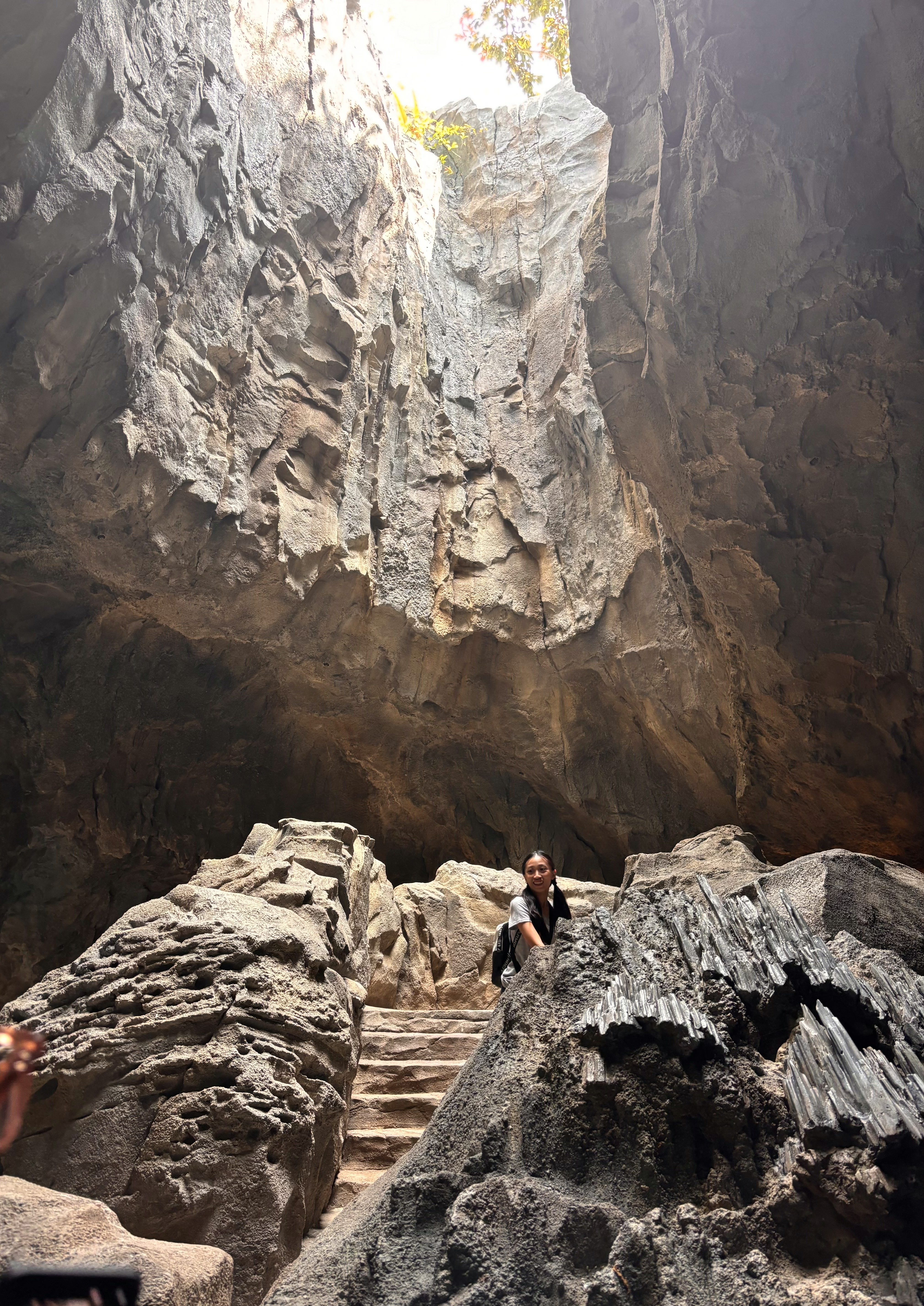 First look: New Rainforest Wild Asia has forest trails, stream ...
