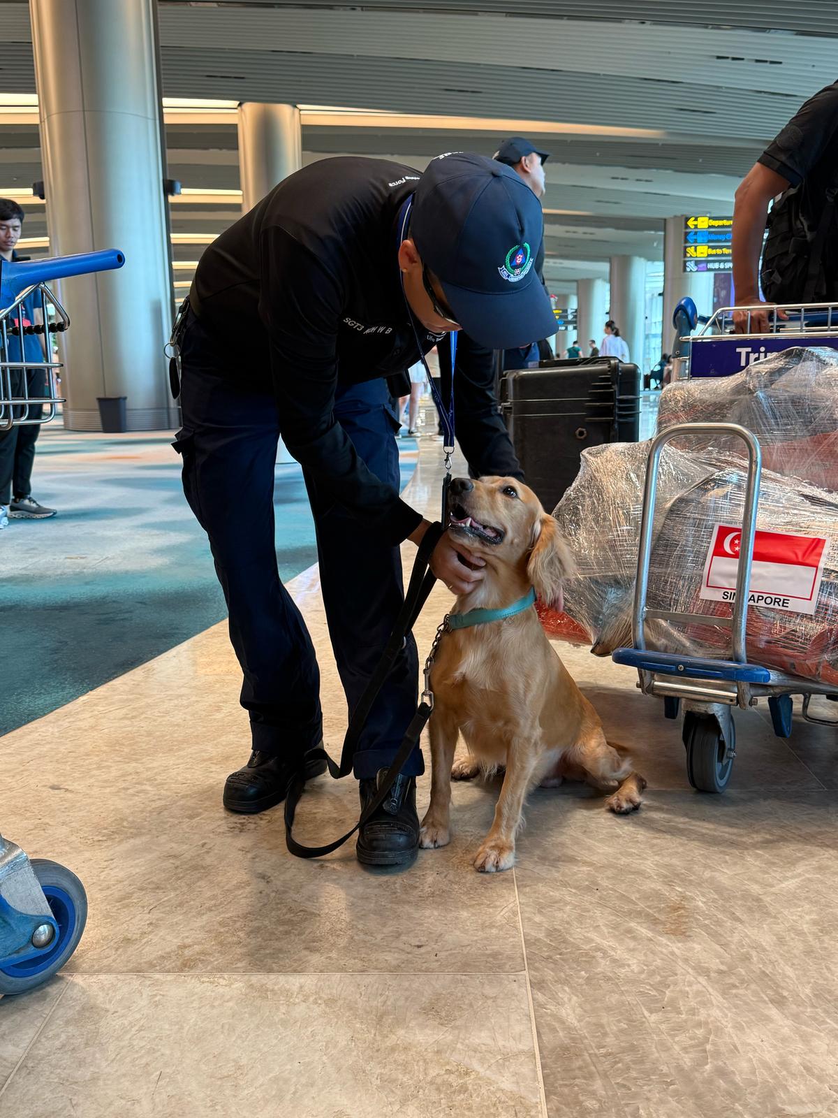 SCDF deploys 80-member team including rescuers & search dogs to Myanmar ...