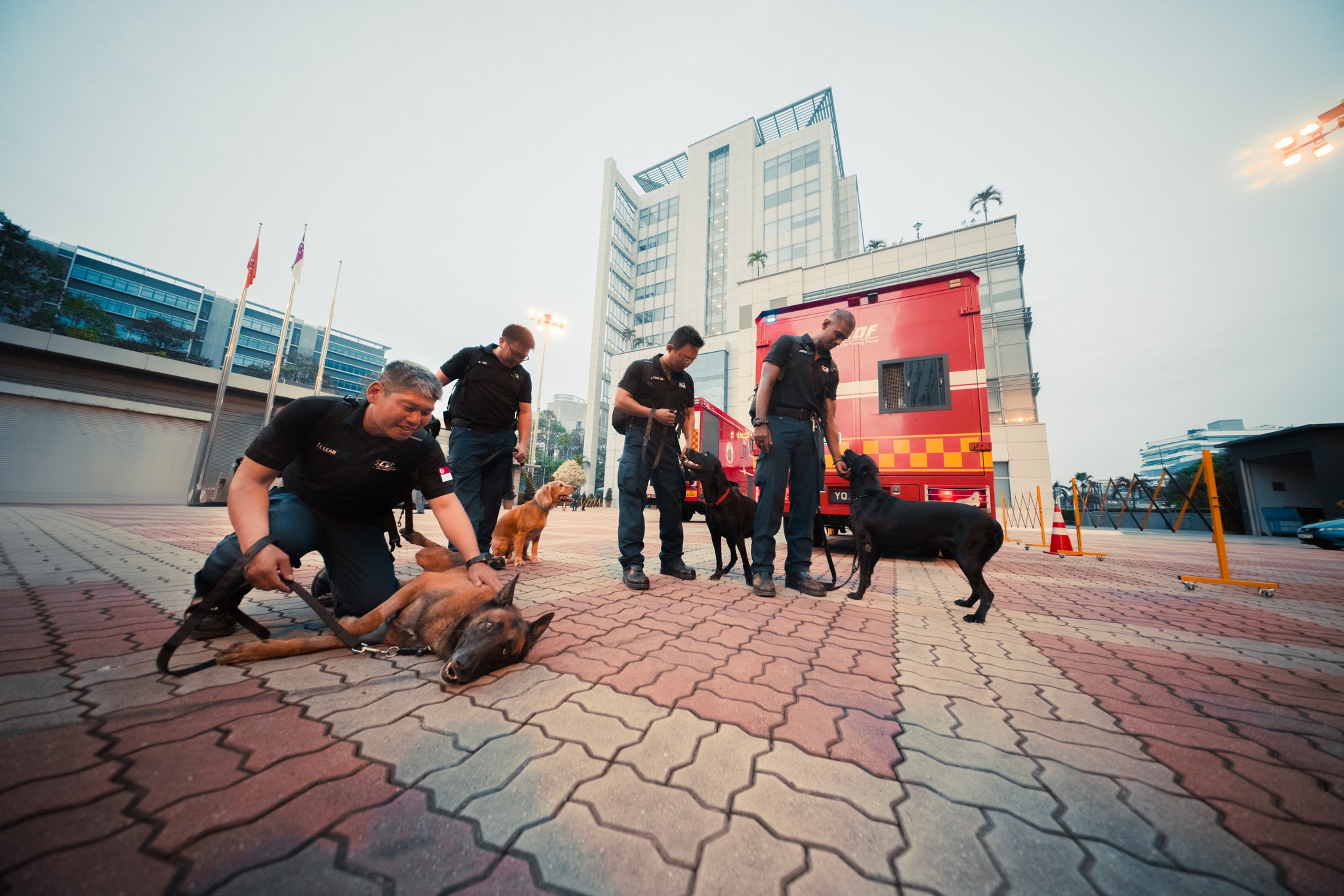 SCDF deploys 80-member team including rescuers & search dogs to Myanmar ...