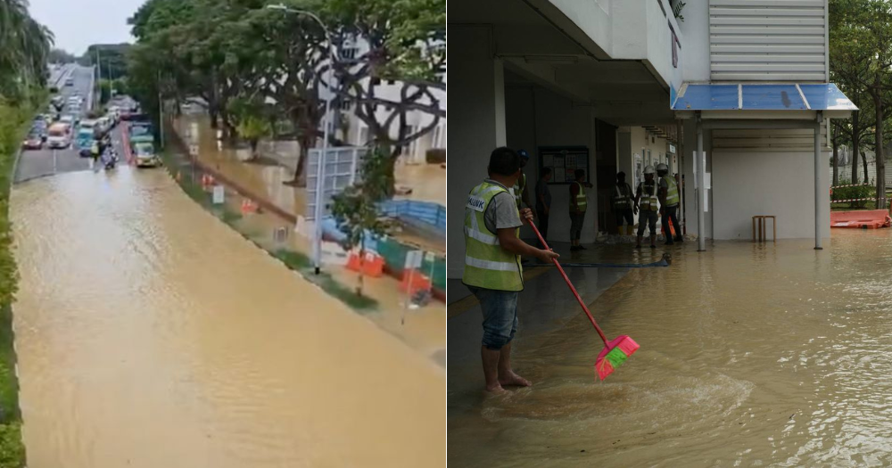 Malay community leaders & politicians criticise activists' showdown ...