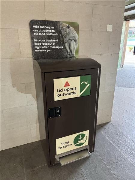 S'pore primatologist calls for more to be done to monkey-proof Punggol ...